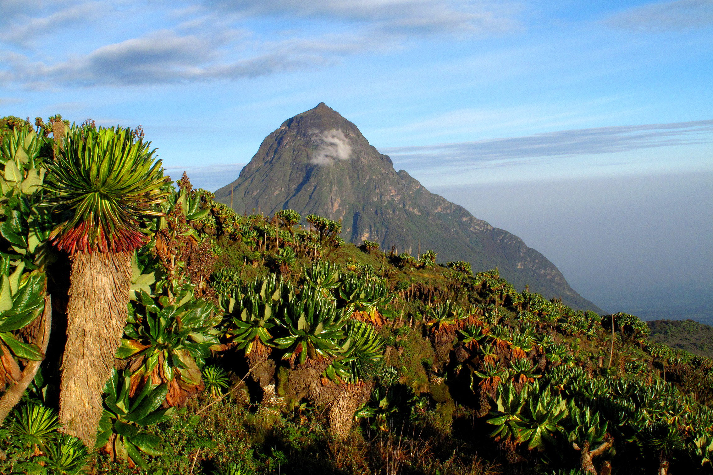 Turismo en Ruanda | Historia, consejos y viajes · Aventura África™