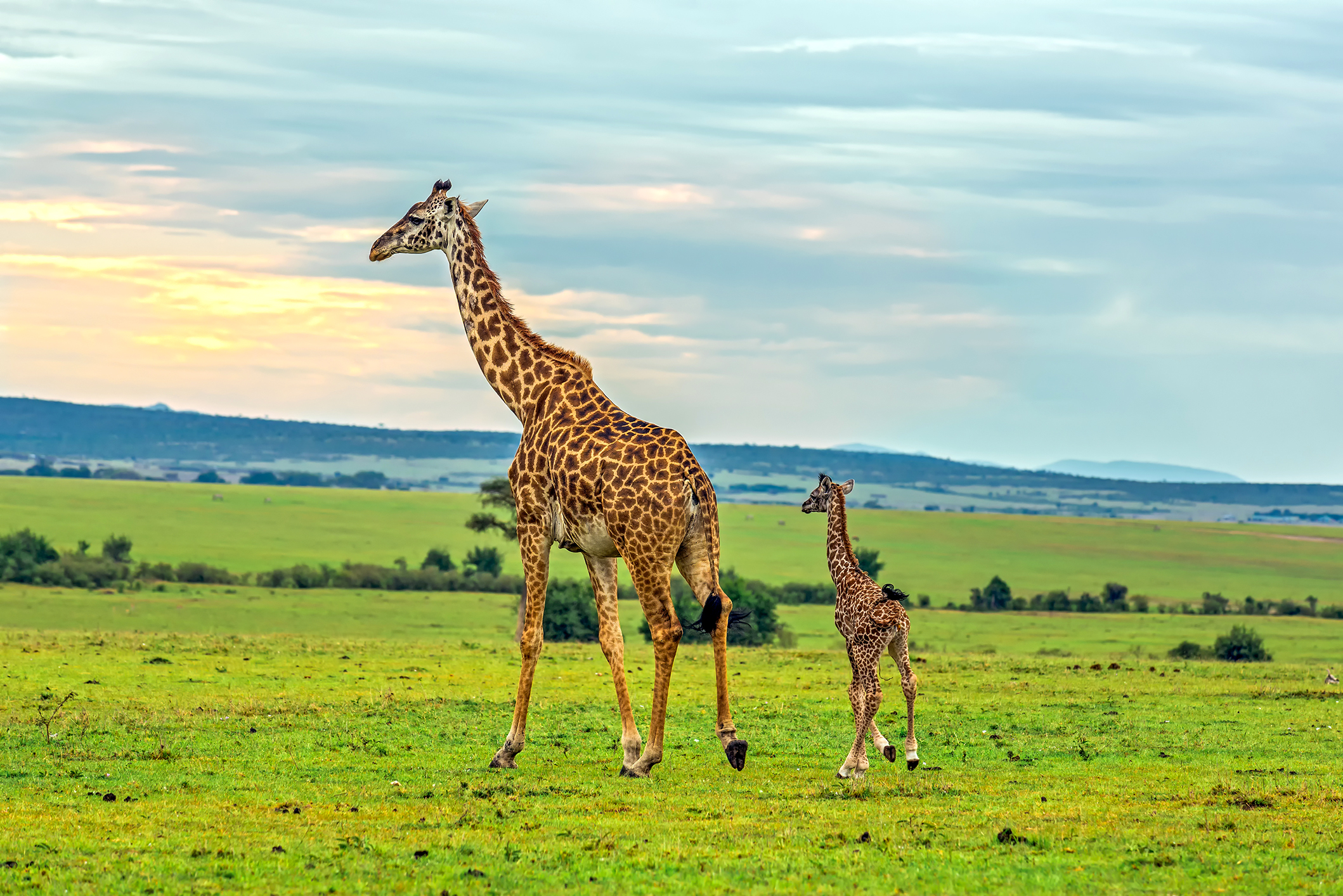 Requisitos para viajar a Kenia desde Perú · Aventura África™